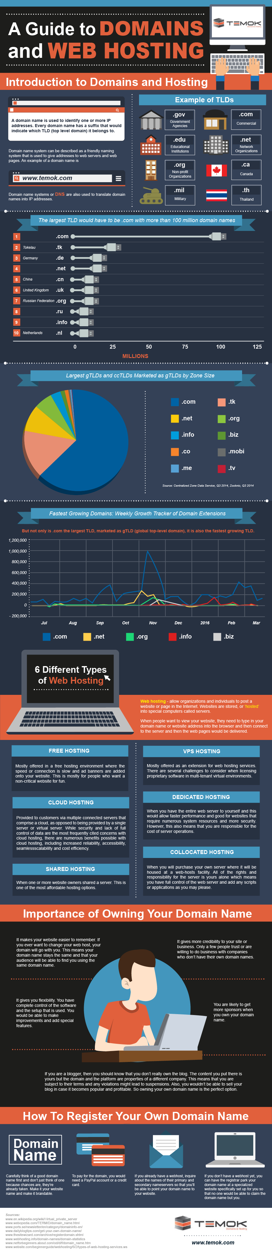 A Guide to Domains and Web Hosting - InfoGraphic