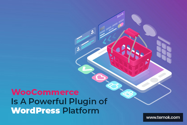 Magento vs WordPress: What Experts Are Saying?