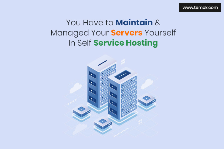 8 Popular Types of Web Hosting You Can Consider Using