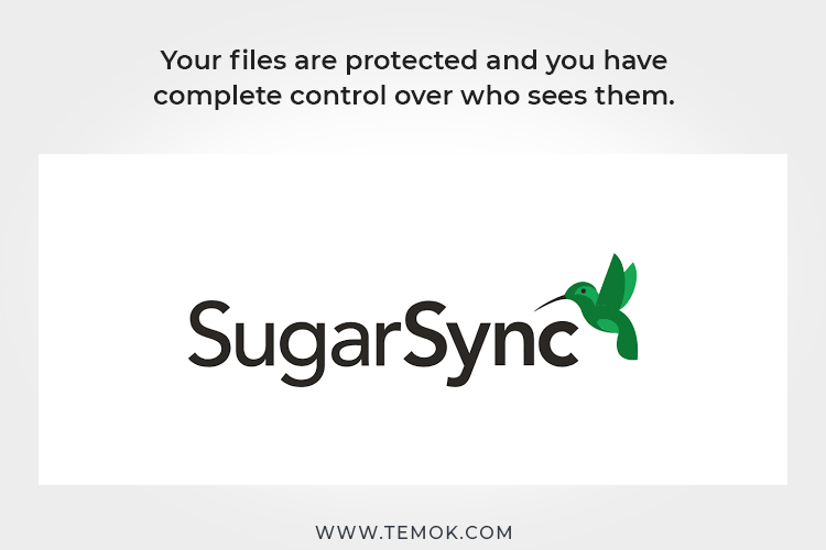 16 Best Google Drive Alternatives in 2022 - Temok