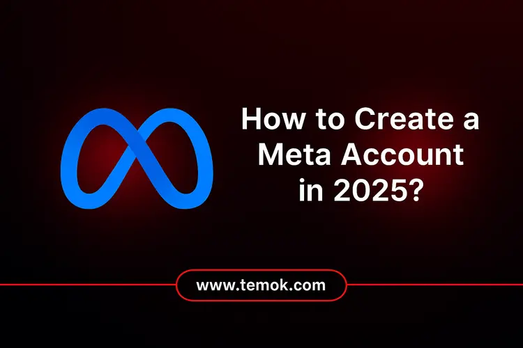 Meta Setup: Step-by-Step Guide For New Users | Temok