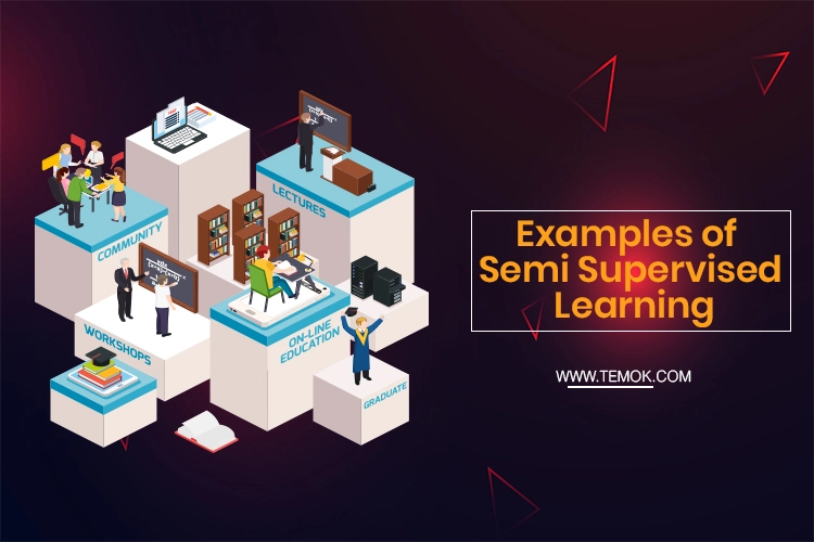 Semi Supervised Learning: Optimizing Models With Labels