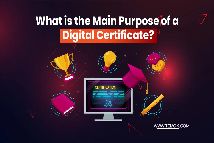 What is a Digital Certificate: Everything You Need To Know
