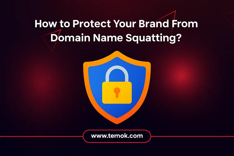 Domain Squatting: What It Is & How to Avoid It | Temok