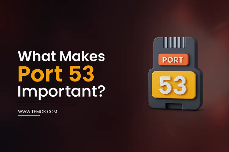 What is Port 53? A Simple Guide For Beginners | Temok