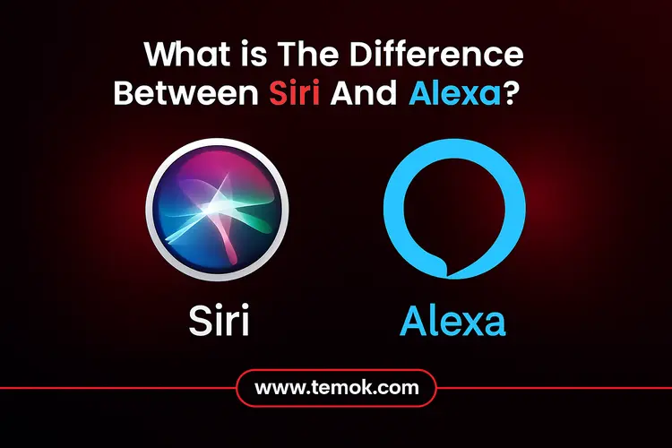 Siri vs Alexa: Comparing Virtual Assistants in 2025 | Temok