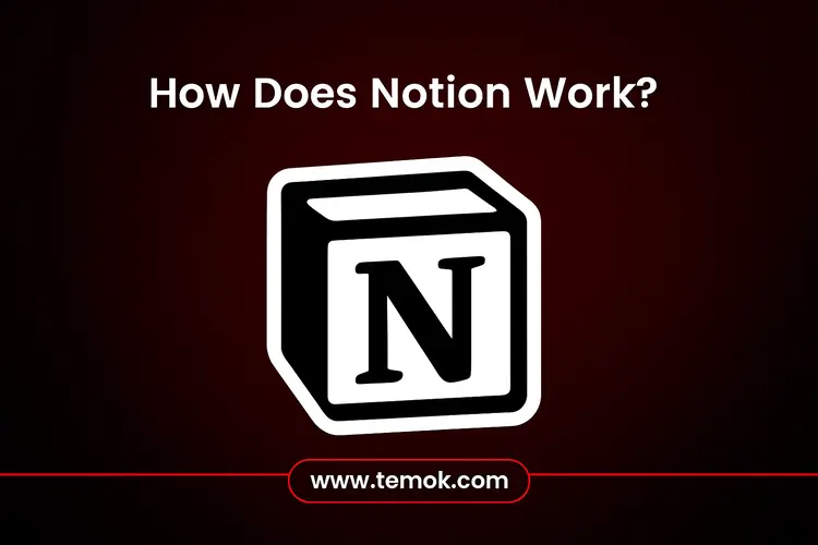 What is Notion: Simple Beginner’s Guide to Productivity